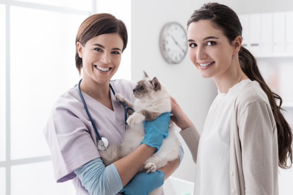 Layanan Pet Clinic Cat - Katze Nesia - Your Pets, Our Care